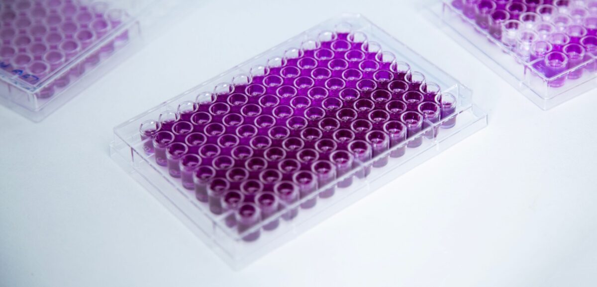 PCR Plate Selection Guide: 96-Well vs 384-Well Plates